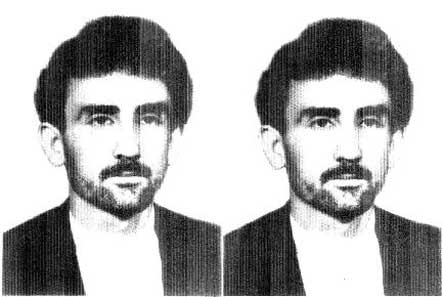 Difusión de Imágenes Fotográficas